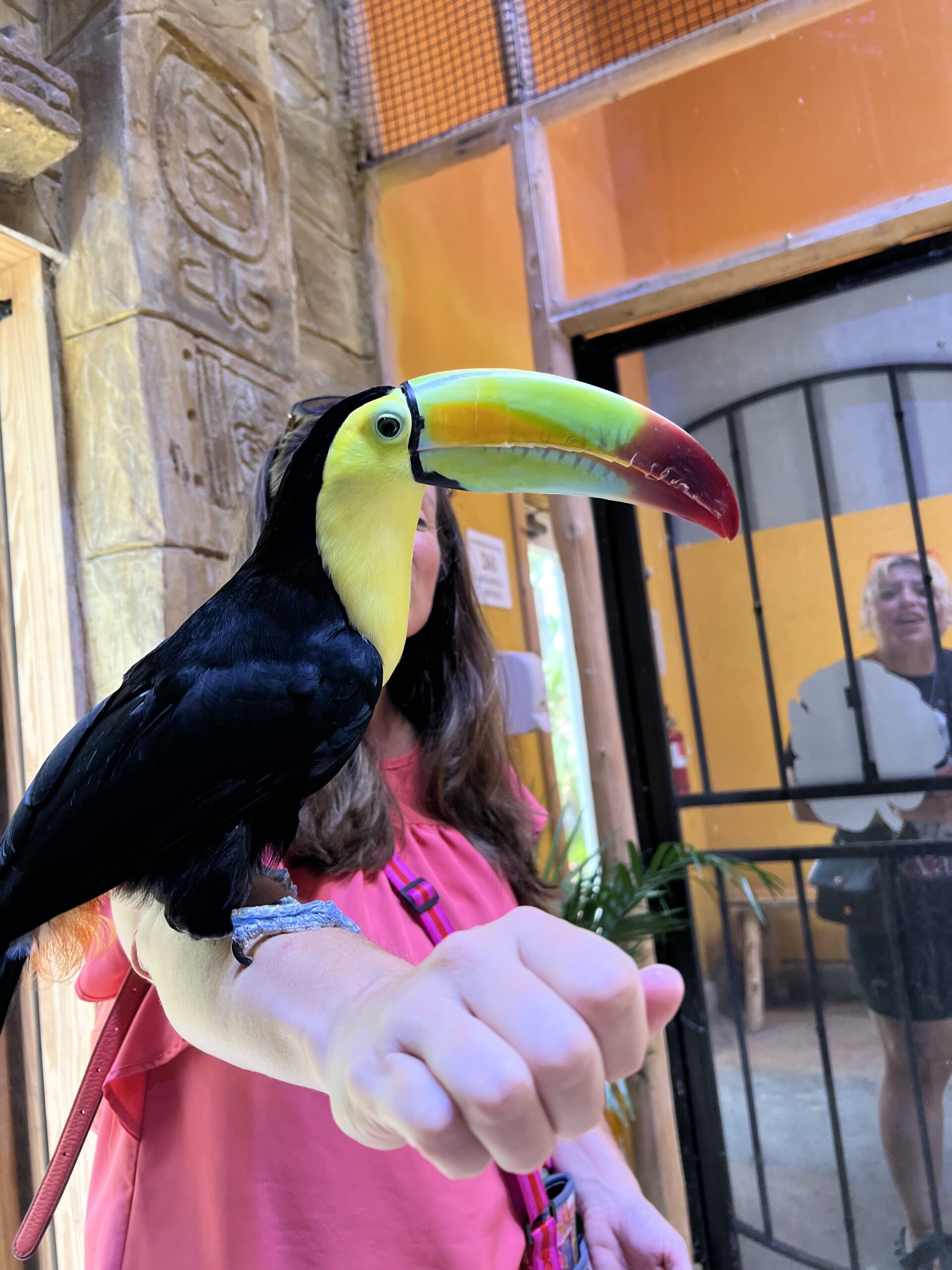 Houston Interactive Aquarium and Animal Preserve – Best Rated Reviews