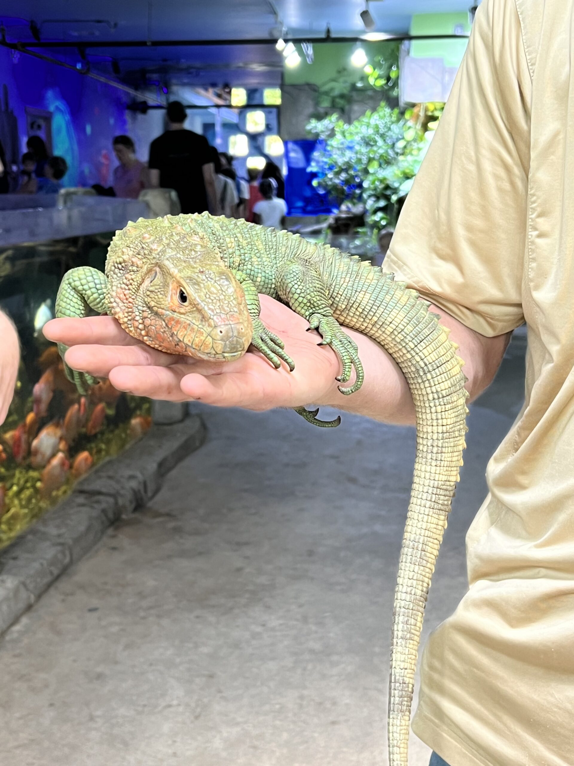 Houston Interactive Aquarium and Animal Preserve – Best Rated Reviews