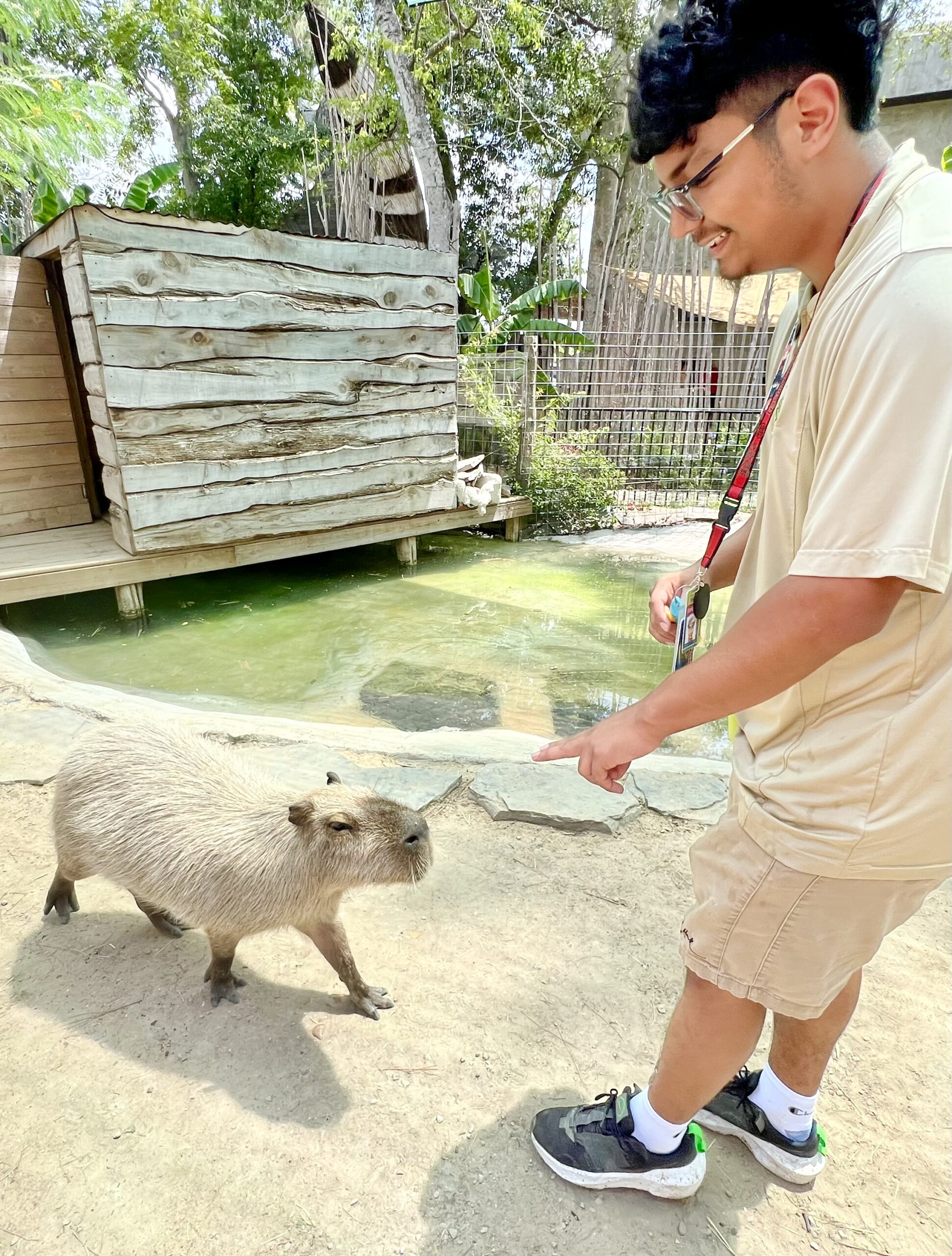 Houston Interactive Aquarium and Animal Preserve – Best Rated Reviews