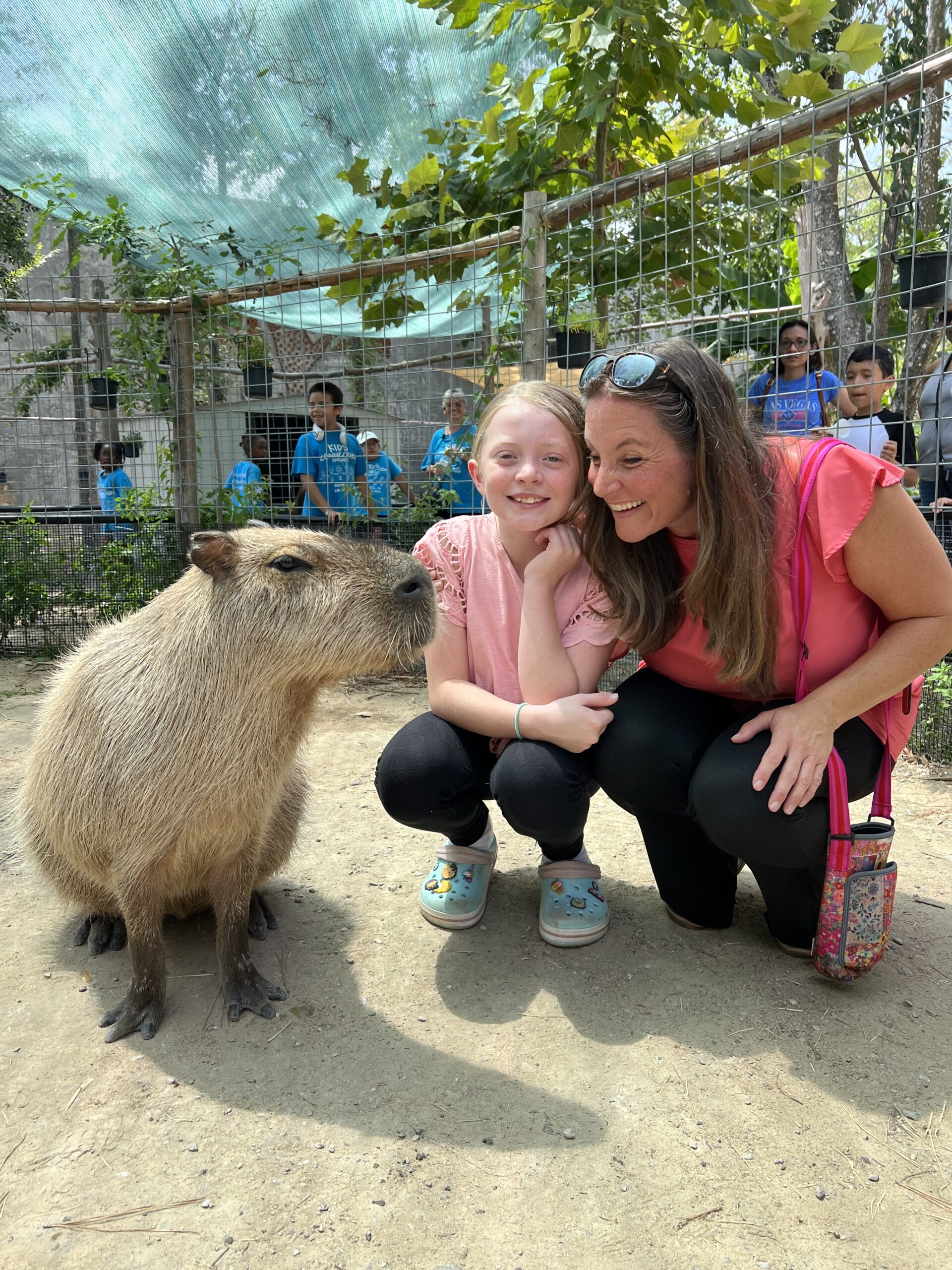 Houston Interactive Aquarium and Animal Preserve – Best Rated Reviews