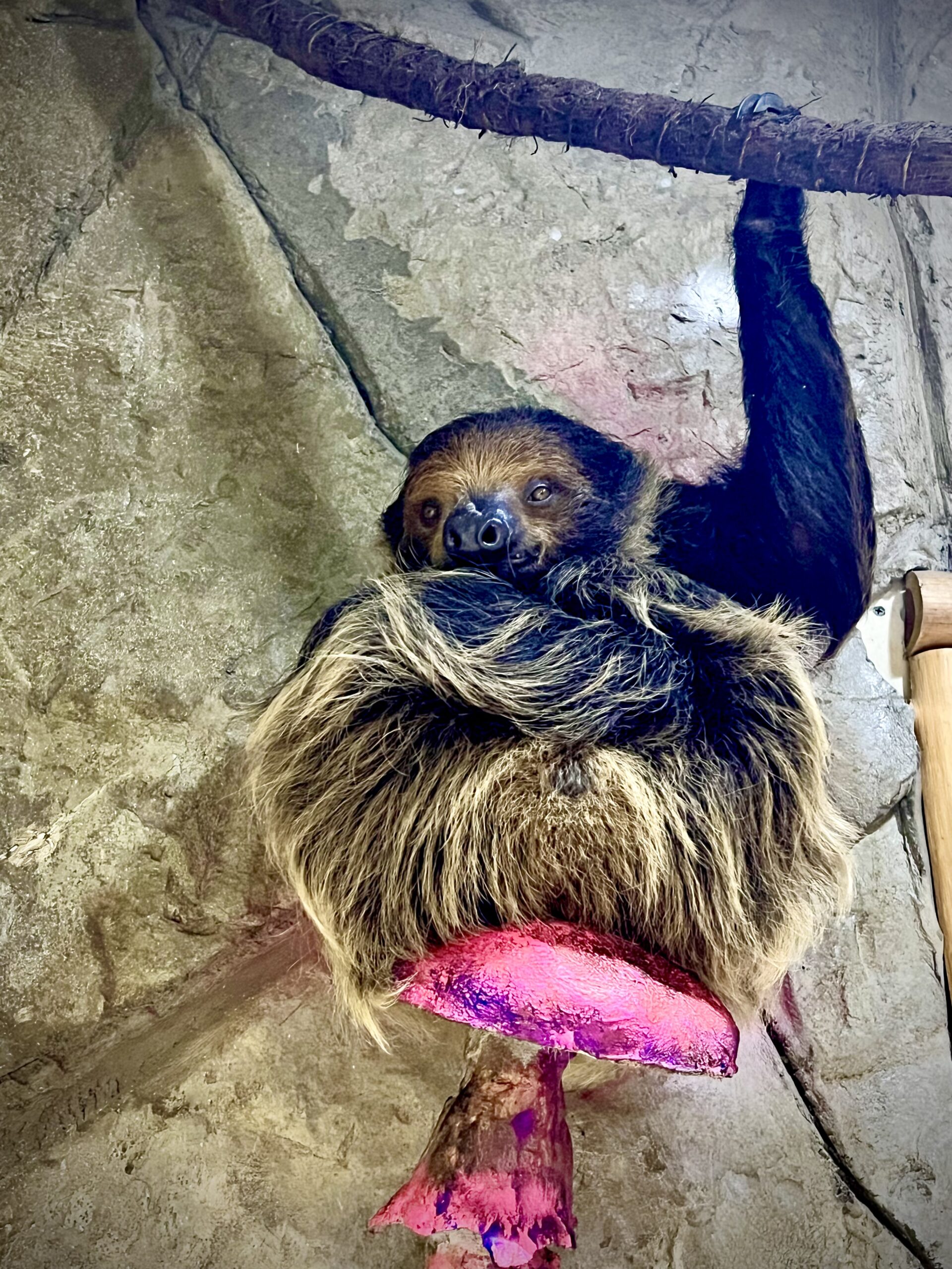 Houston Interactive Aquarium and Animal Preserve – Best Rated Reviews