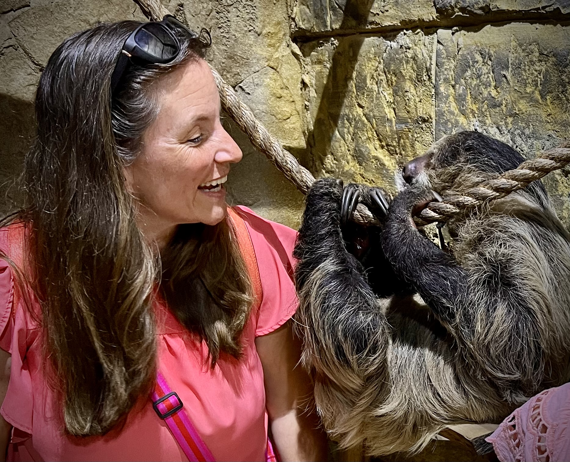 Houston Interactive Aquarium and Animal Preserve – Best Rated Reviews