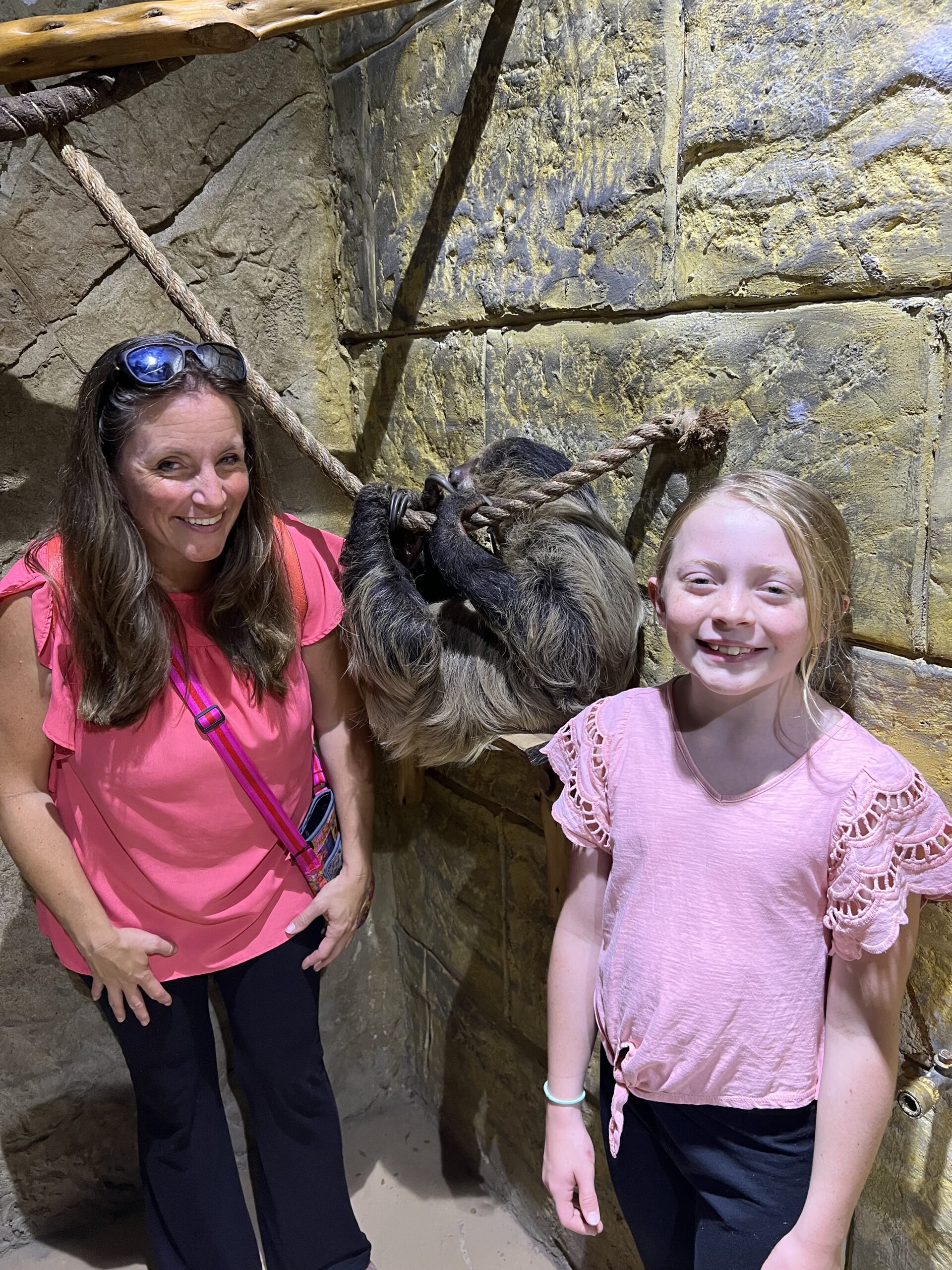 Houston Interactive Aquarium and Animal Preserve – Best Rated Reviews