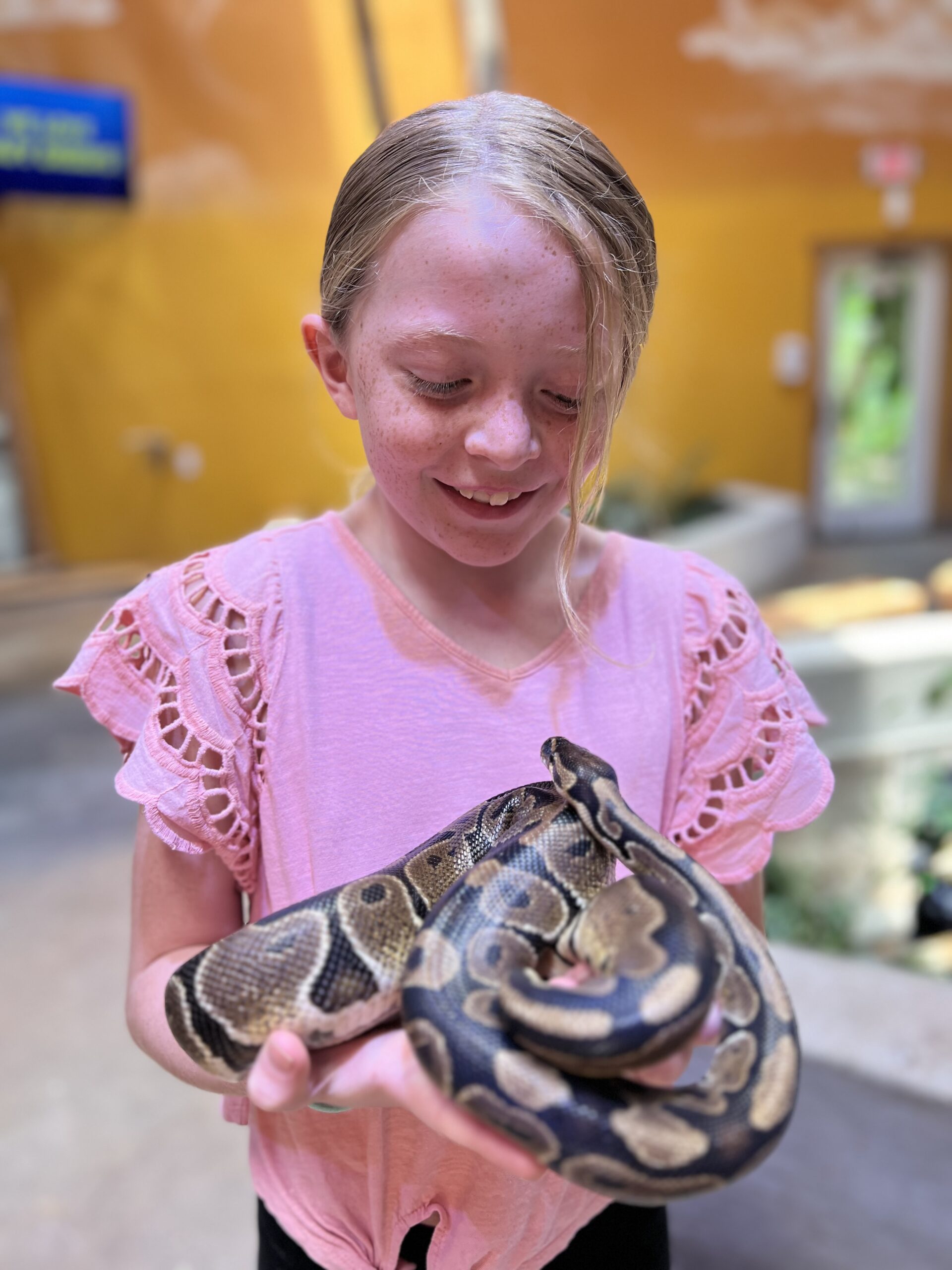 Houston Interactive Aquarium and Animal Preserve – Best Rated Reviews