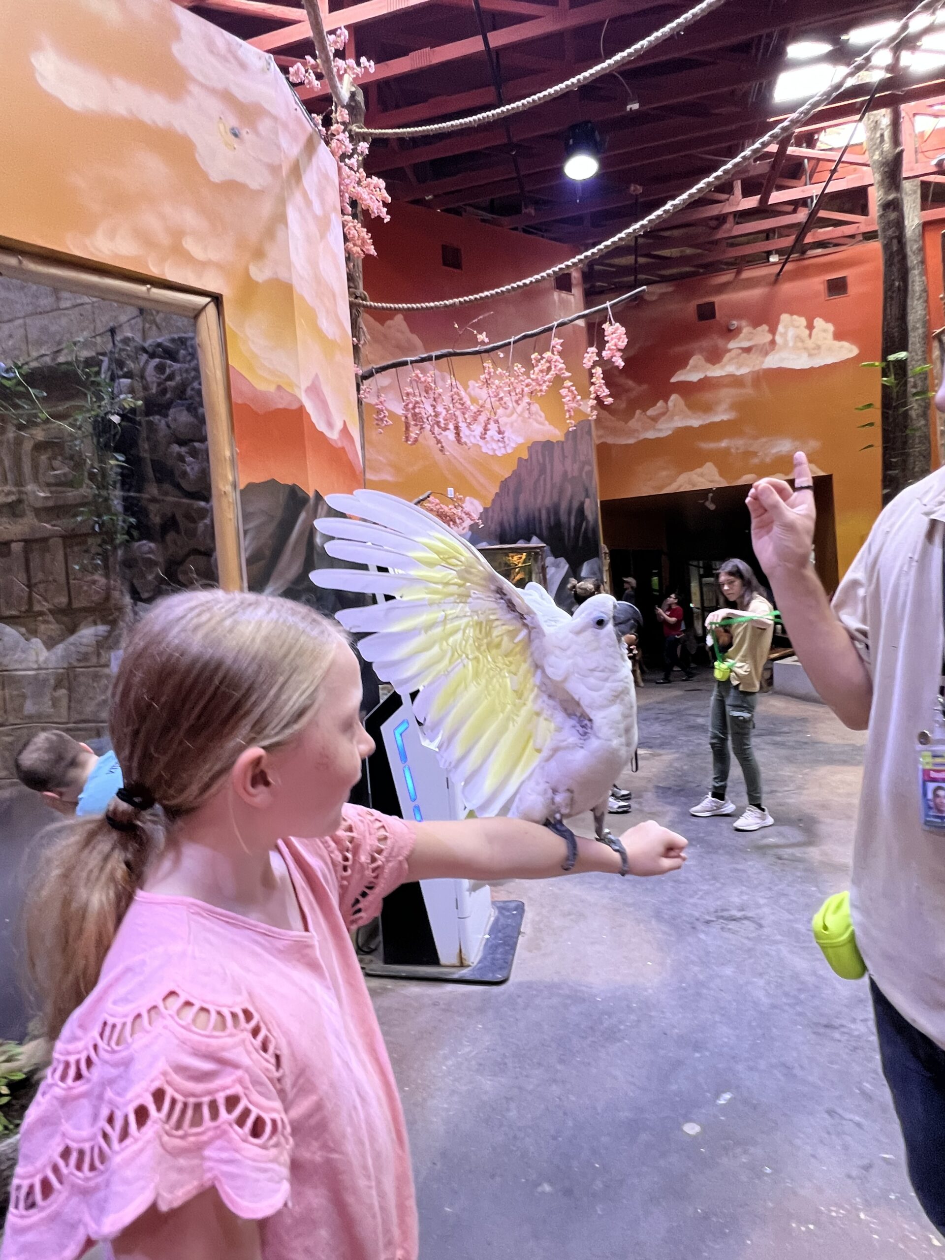 Houston Interactive Aquarium and Animal Preserve – Best Rated Reviews