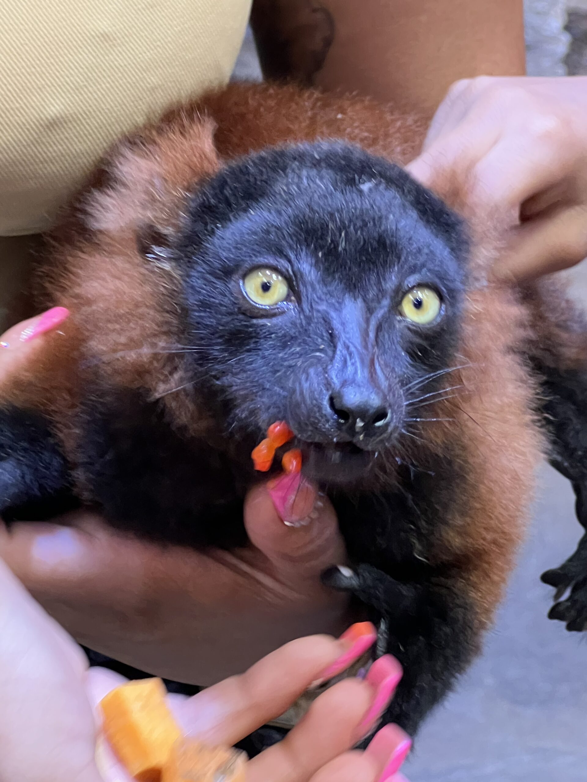 Houston Interactive Aquarium and Animal Preserve – Best Rated Reviews