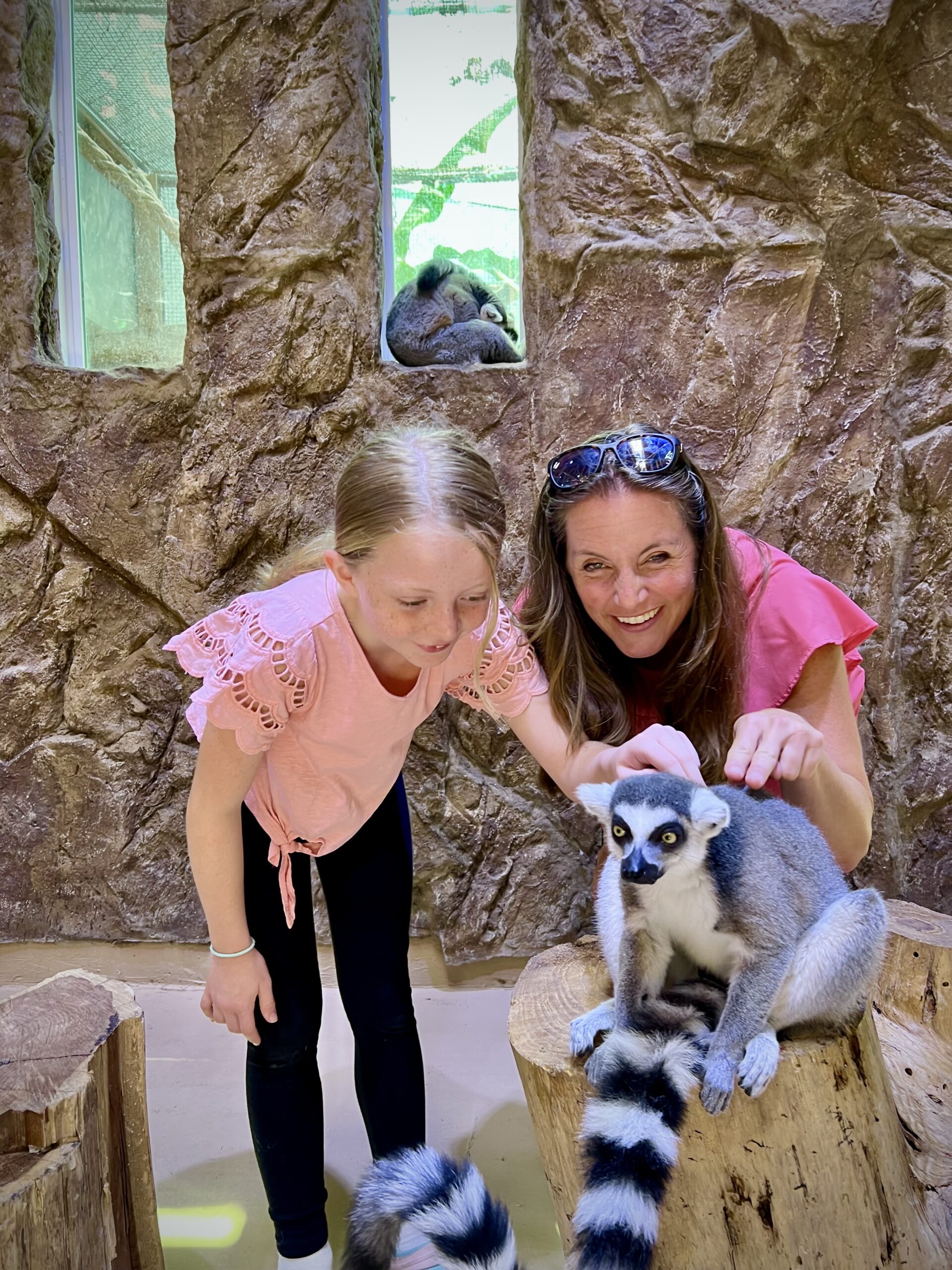 Houston Interactive Aquarium and Animal Preserve – Best Rated Reviews