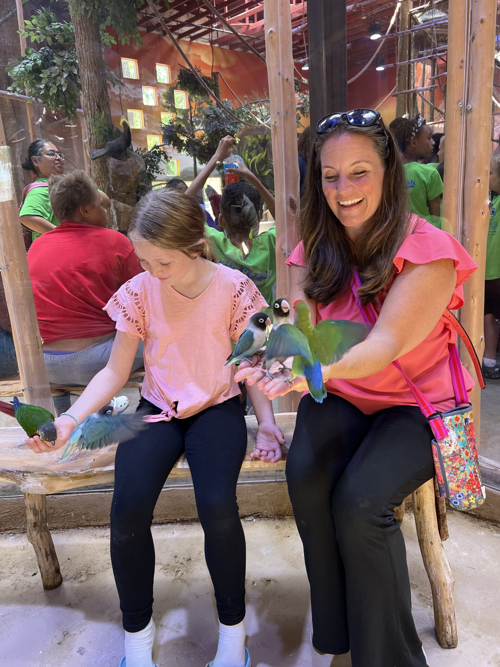 Houston Interactive Aquarium and Animal Preserve – Best Rated Reviews